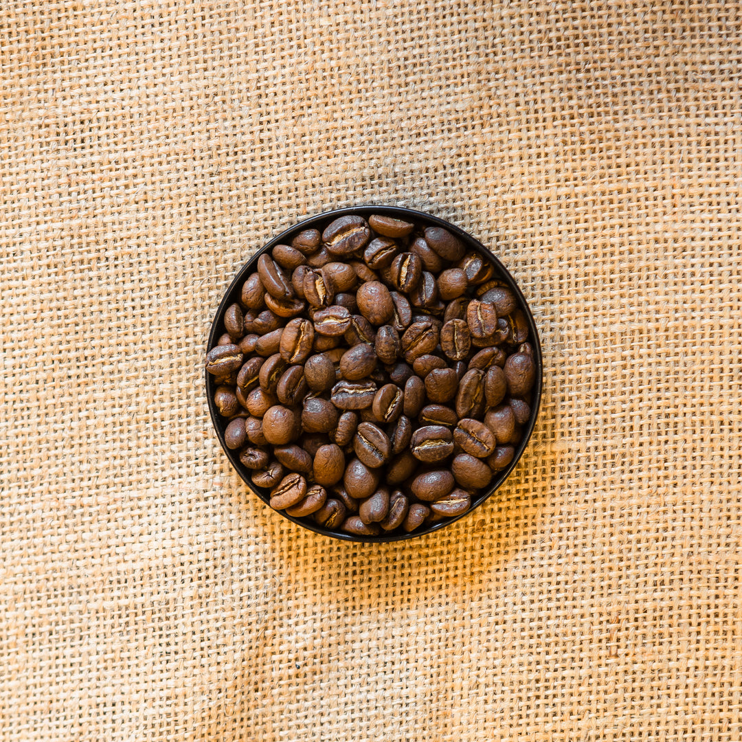 SINGULAR COFFEE ROASTERS: Café de especialidad