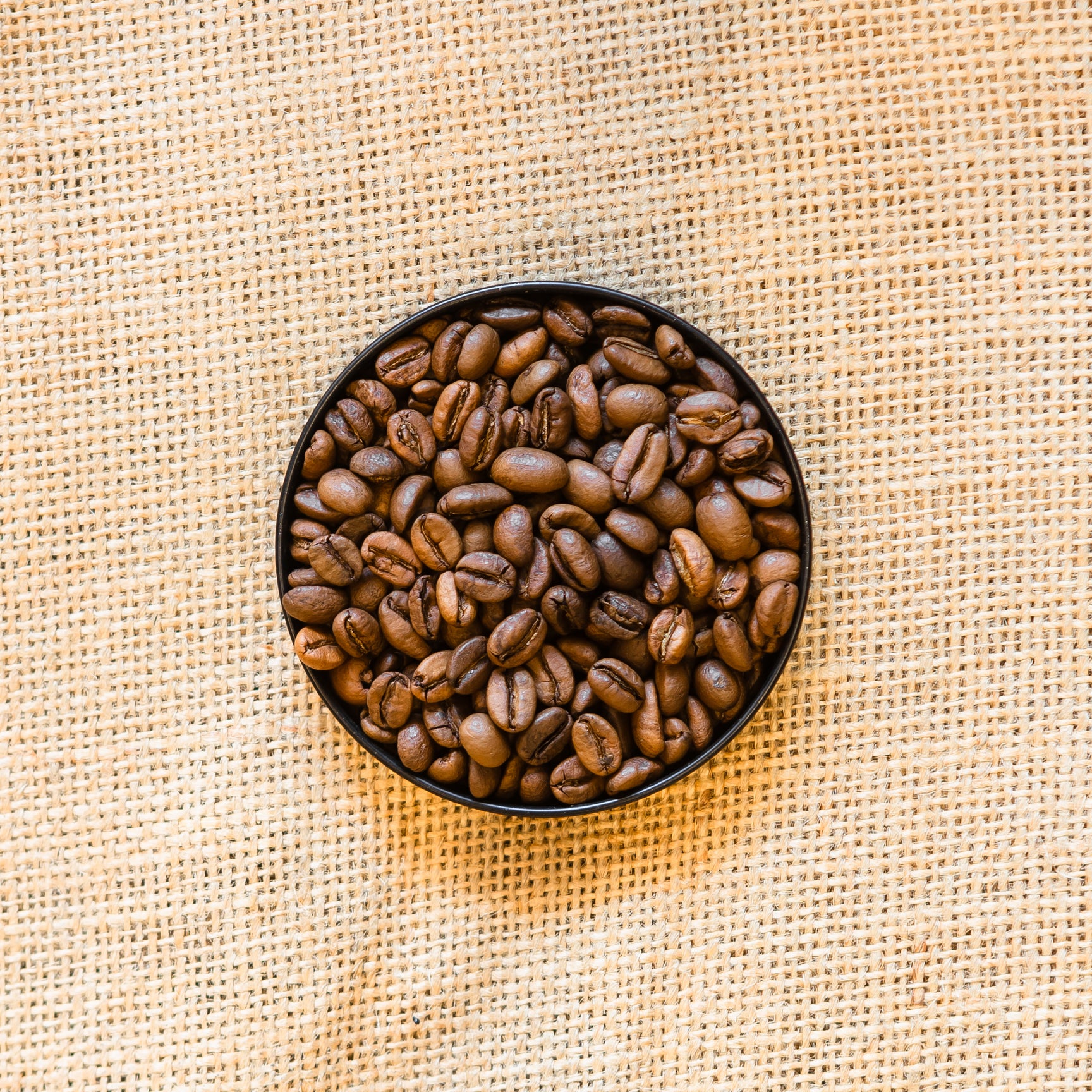 Singular Coffee Roasters – SINGULAR COFFEE ROASTERS